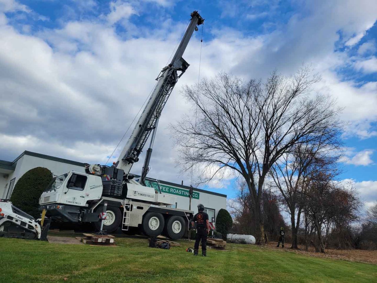 About | Tree Services in NH & Maine | Timber Falls Tree Care